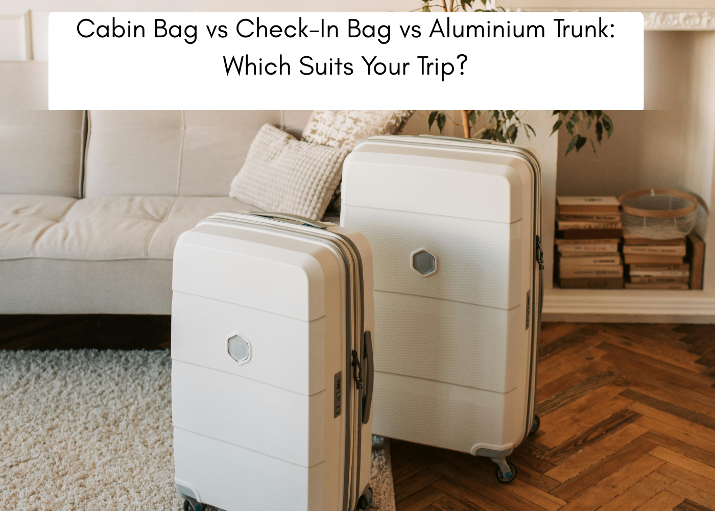 Cabin Bag vs Check-In vs Aluminium Trunk for 2025 Travel – EUME